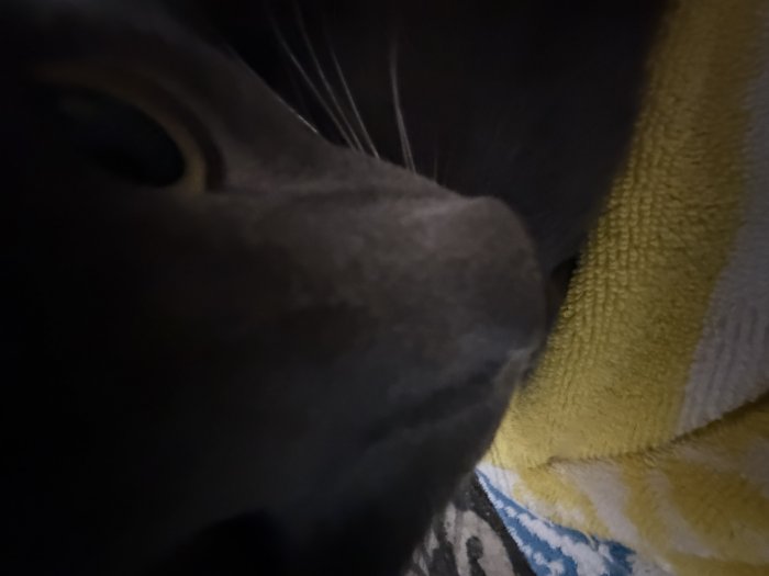 Car | Other Discussions | Kandi Patterns